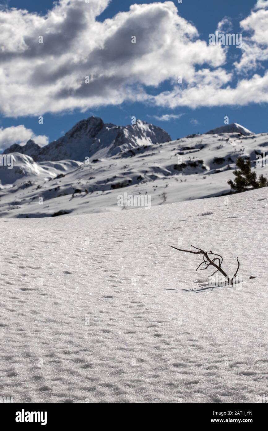 Komna plateau hi-res stock photography and images - Alamy