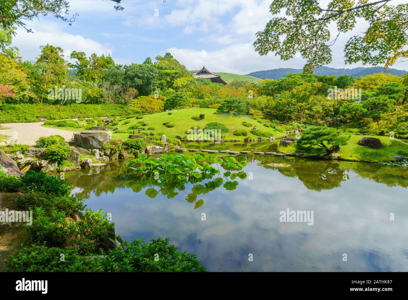 Nara plant hi-res stock photography and images - Alamy