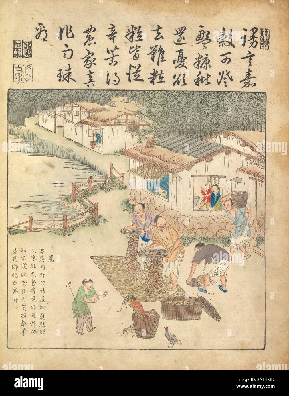 Ancient Chinese Rice Farming