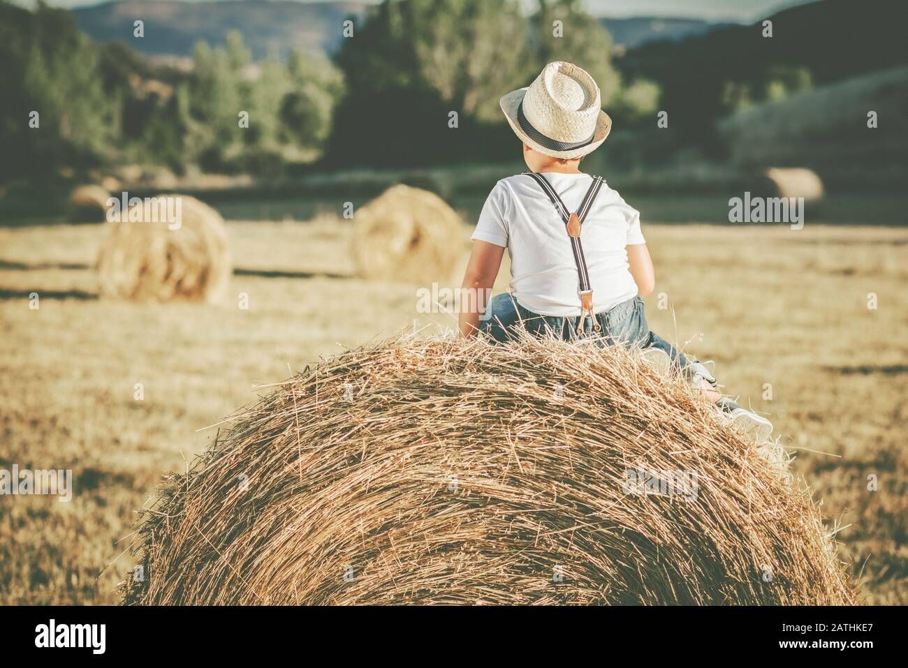 Back view of a Pensive child in the straw field Stock Photo - Alamy