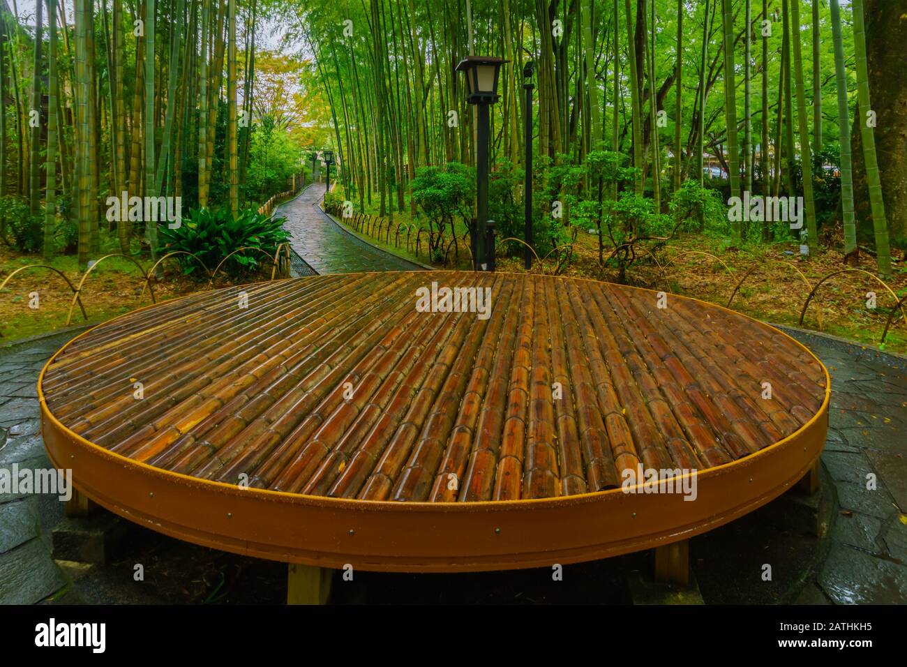 View of the small bamboo forest, in Shuzenji, Izu Peninsula, Japan ...