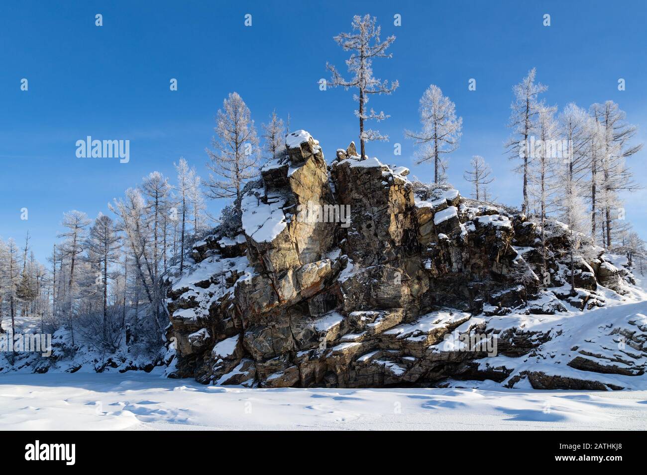 Rock with trees. Winter landscape in South Yakutia, Russia Stock Photo ...