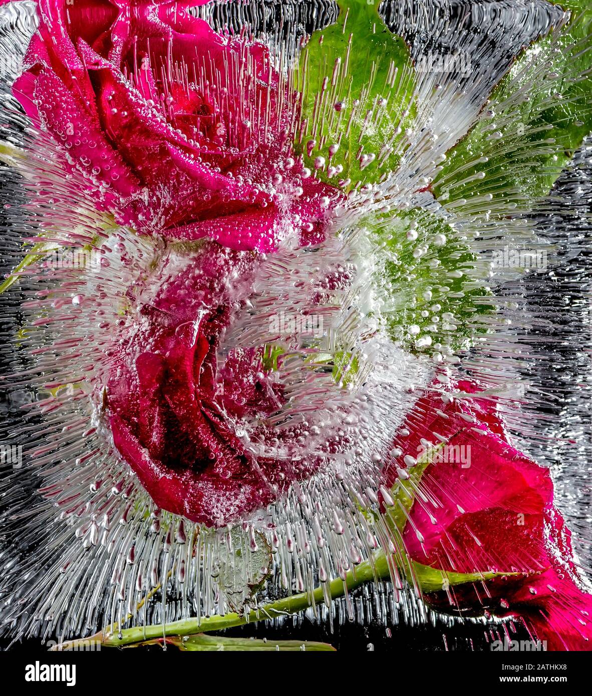 Ice sculpture with red roses Stock Photo - Alamy