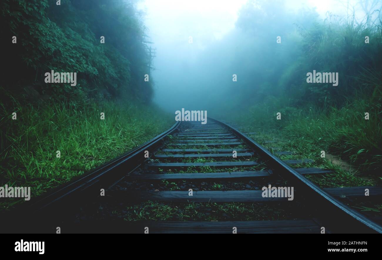 Dark blue railway tracks through green foggy jungle forest, Ella Sri ...