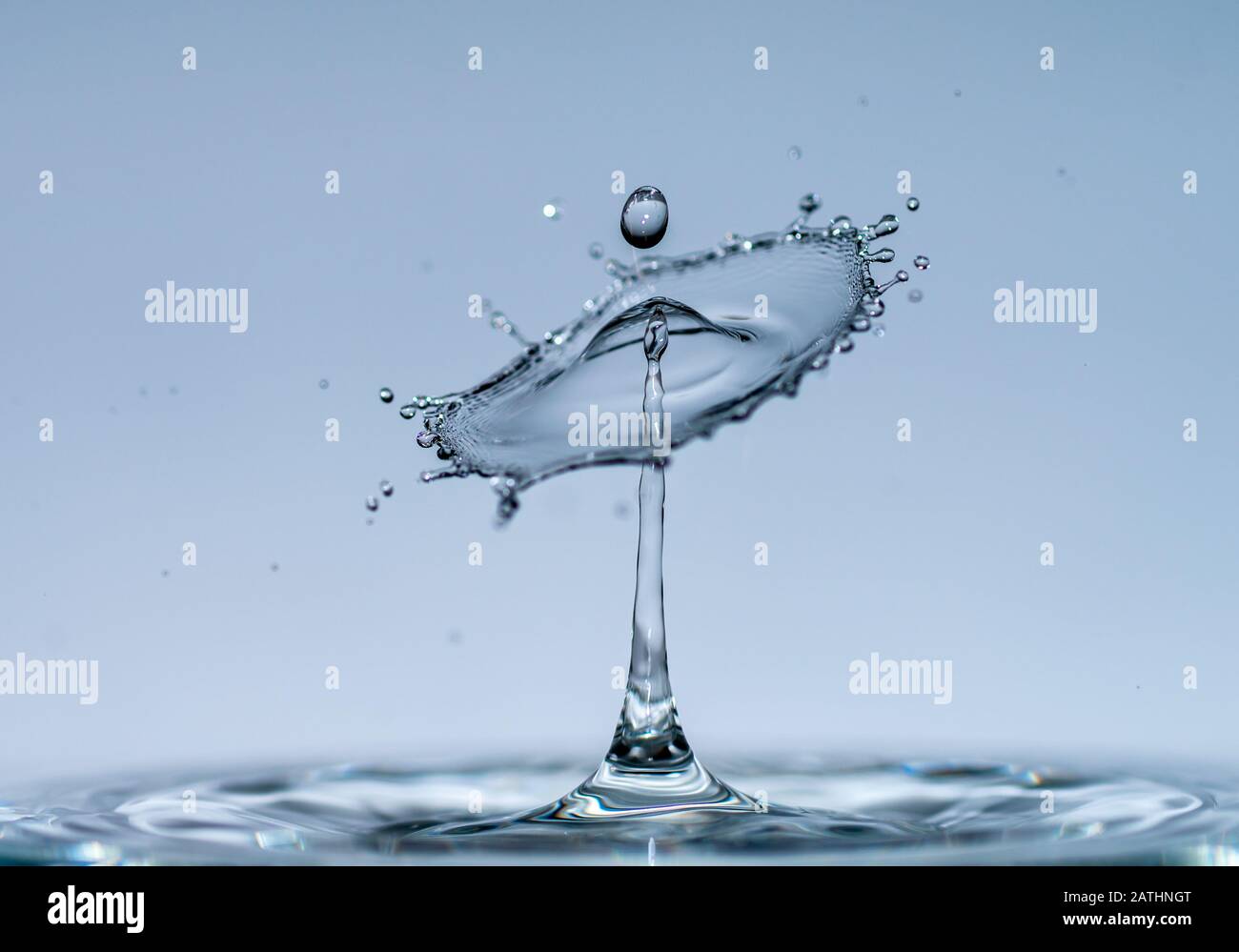Water drops form mesmerizing transparent sculptures in the form of a ...