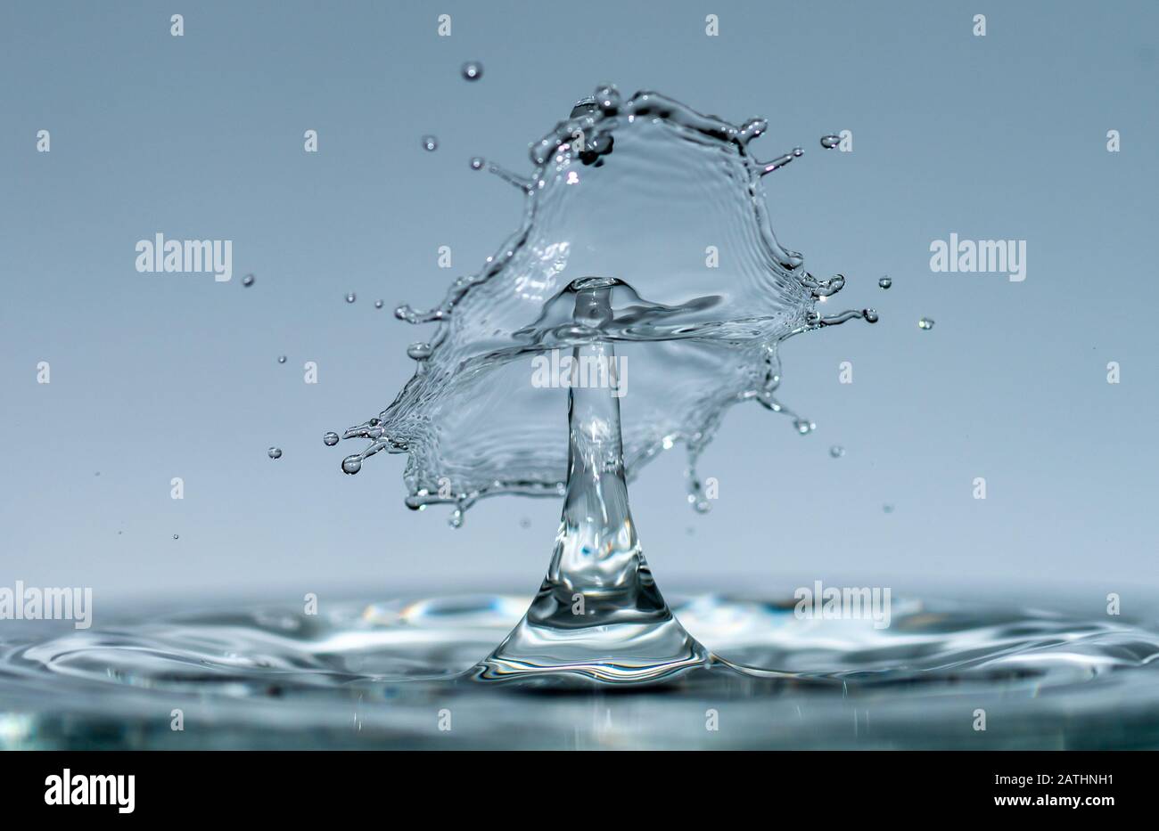 Water drops form mesmerizing transparent sculptures in the form of a ...