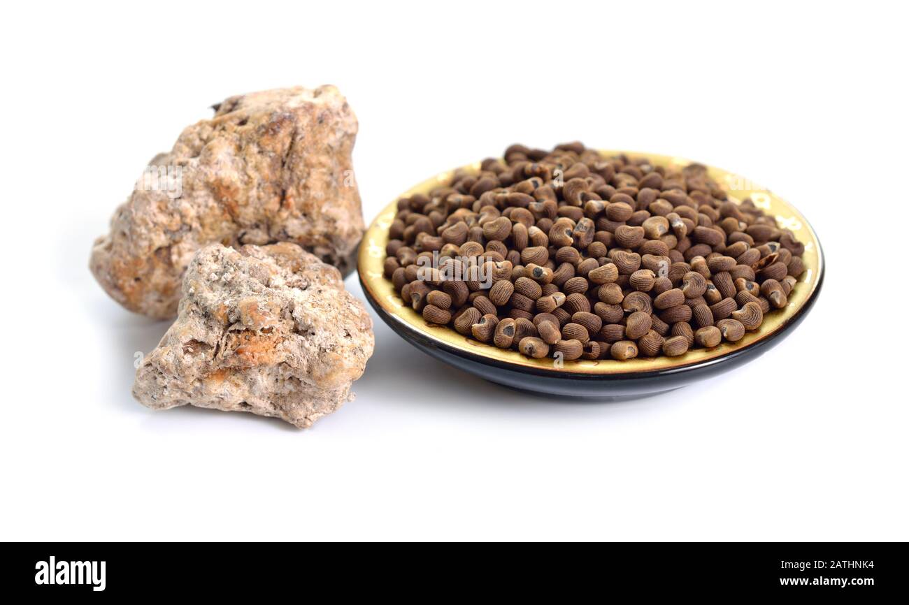 Abelmoschus moschatus or Ambrette Seed with natural Ambergris. Isolated ...