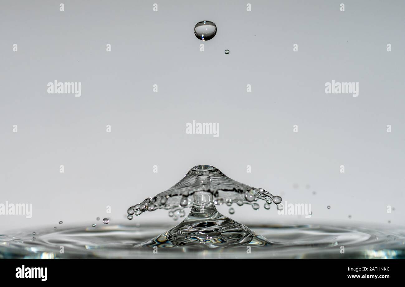 Water drops form mesmerizing transparent sculptures in the form of a ...