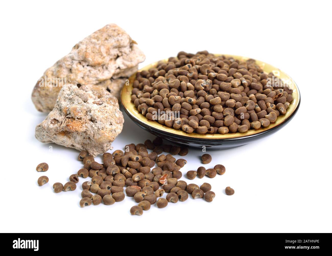 Abelmoschus moschatus or Ambrette Seed with natural Ambergris. Isolated ...