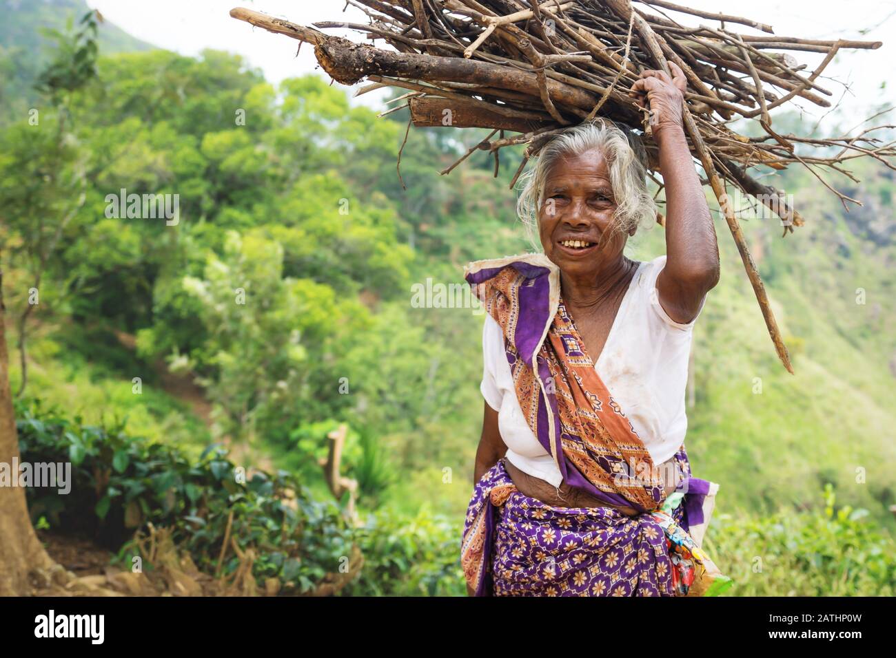 Old woman carrying wood hi-res stock photography and images - Alamy