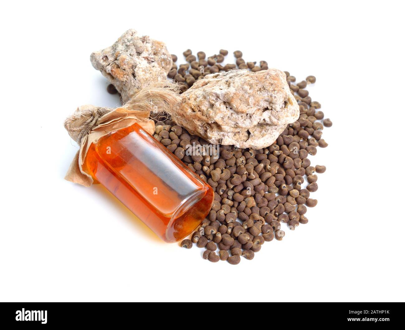 Abelmoschus moschatus or Ambrette Seed with natural Ambergris. Isolated ...