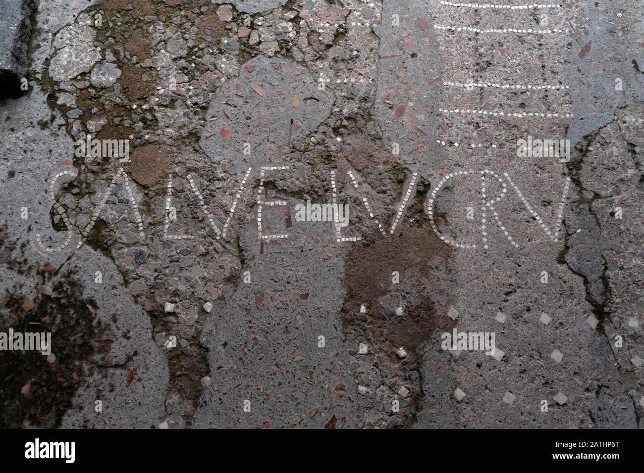 Salve lucrum hi-res stock photography and images - Alamy