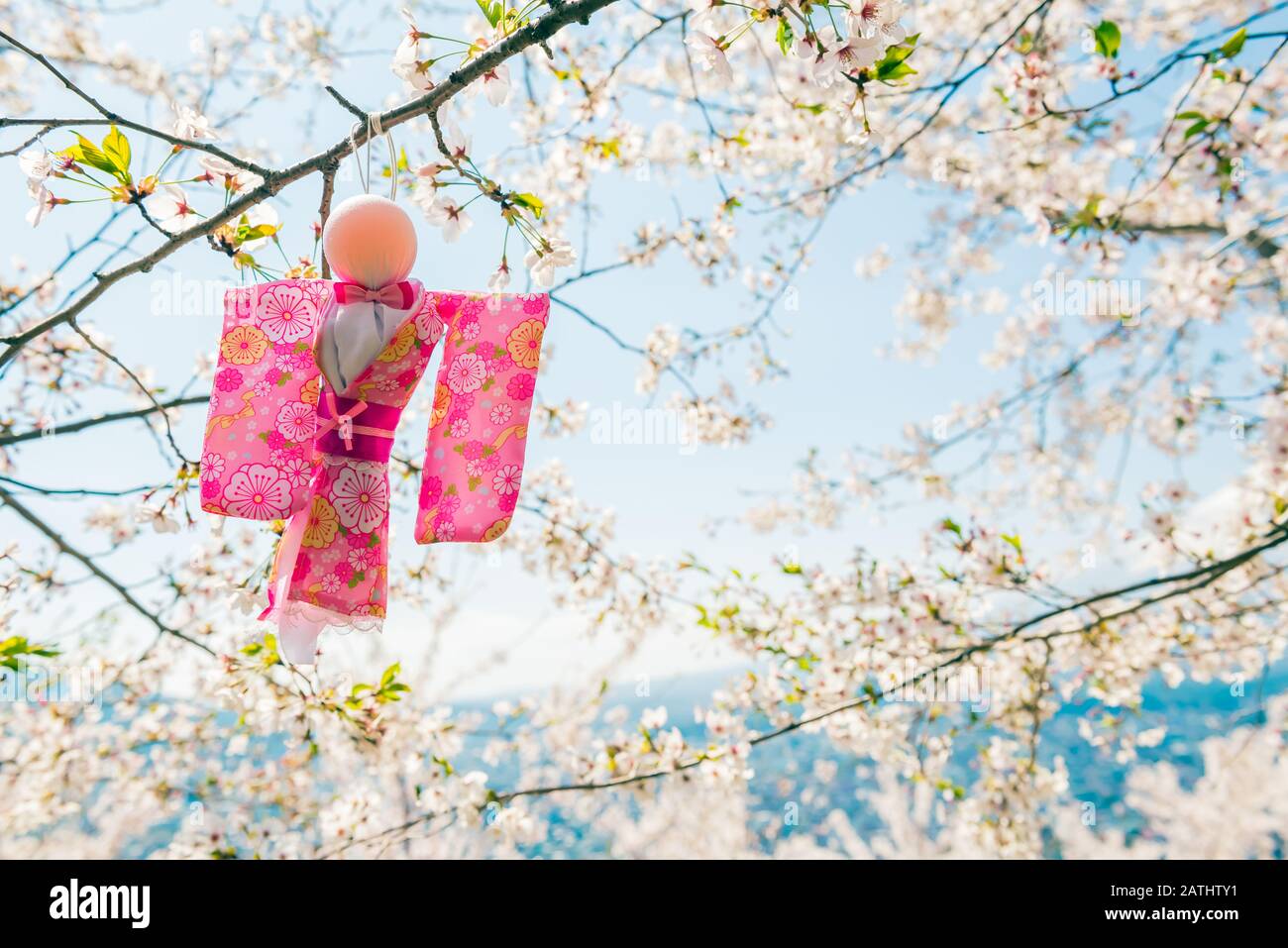 Teru Teru Bozu. Japanese Rain Doll hanging on Sakura tree to pray for ...