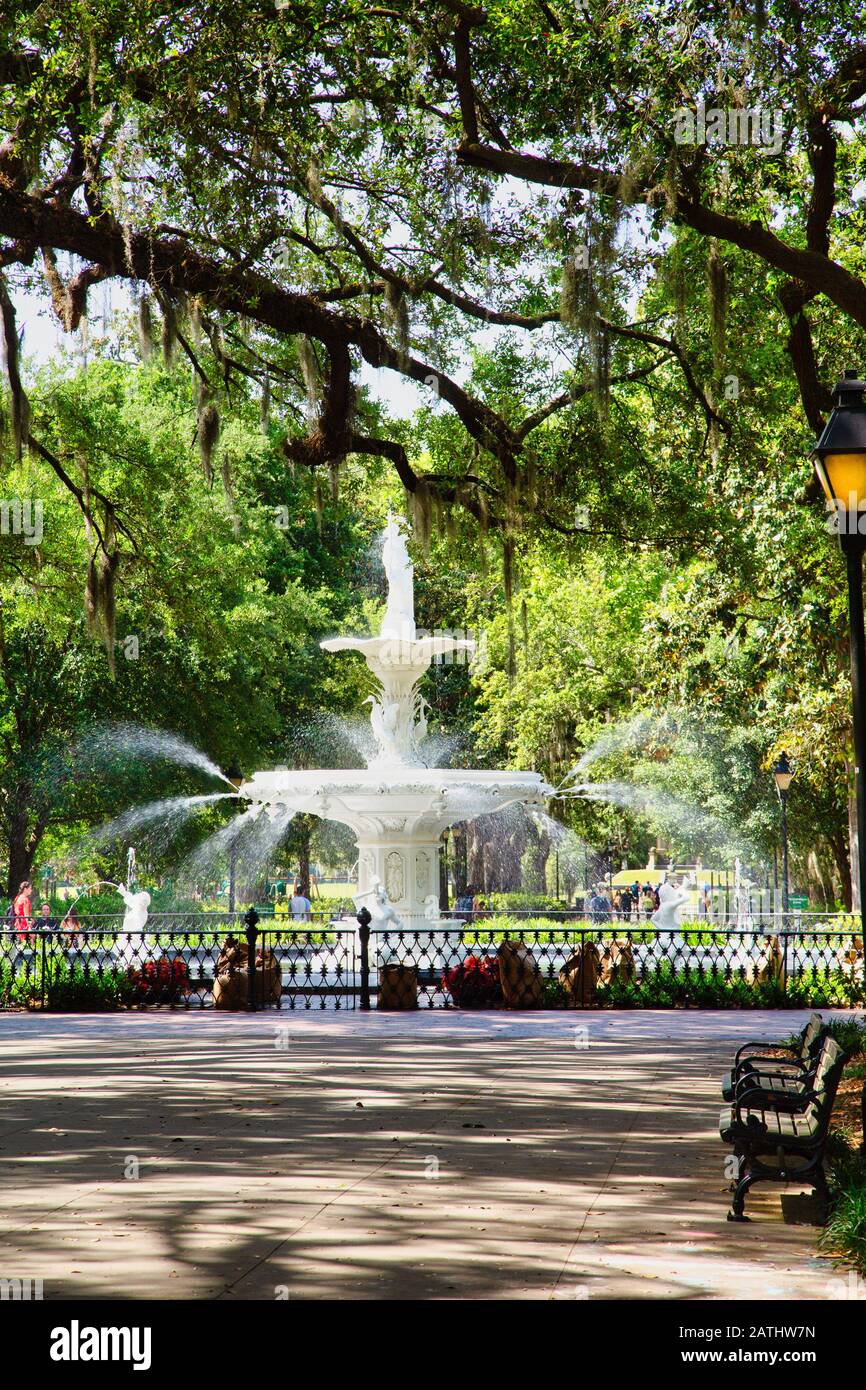 Under oaks hi-res stock photography and images - Alamy