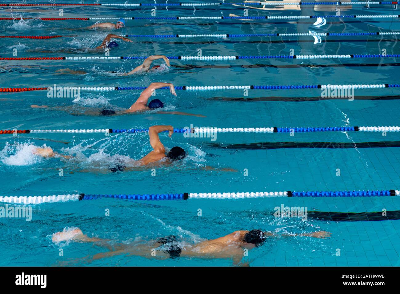 Swimmers swimming in the pool Stock Photo - Alamy