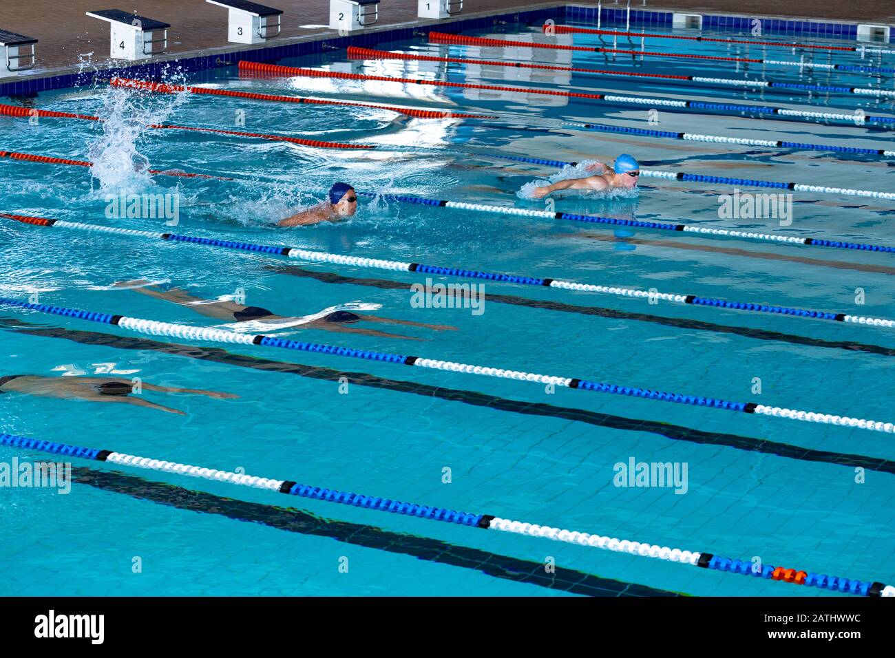 Swimmers swimming in the pool Stock Photo - Alamy