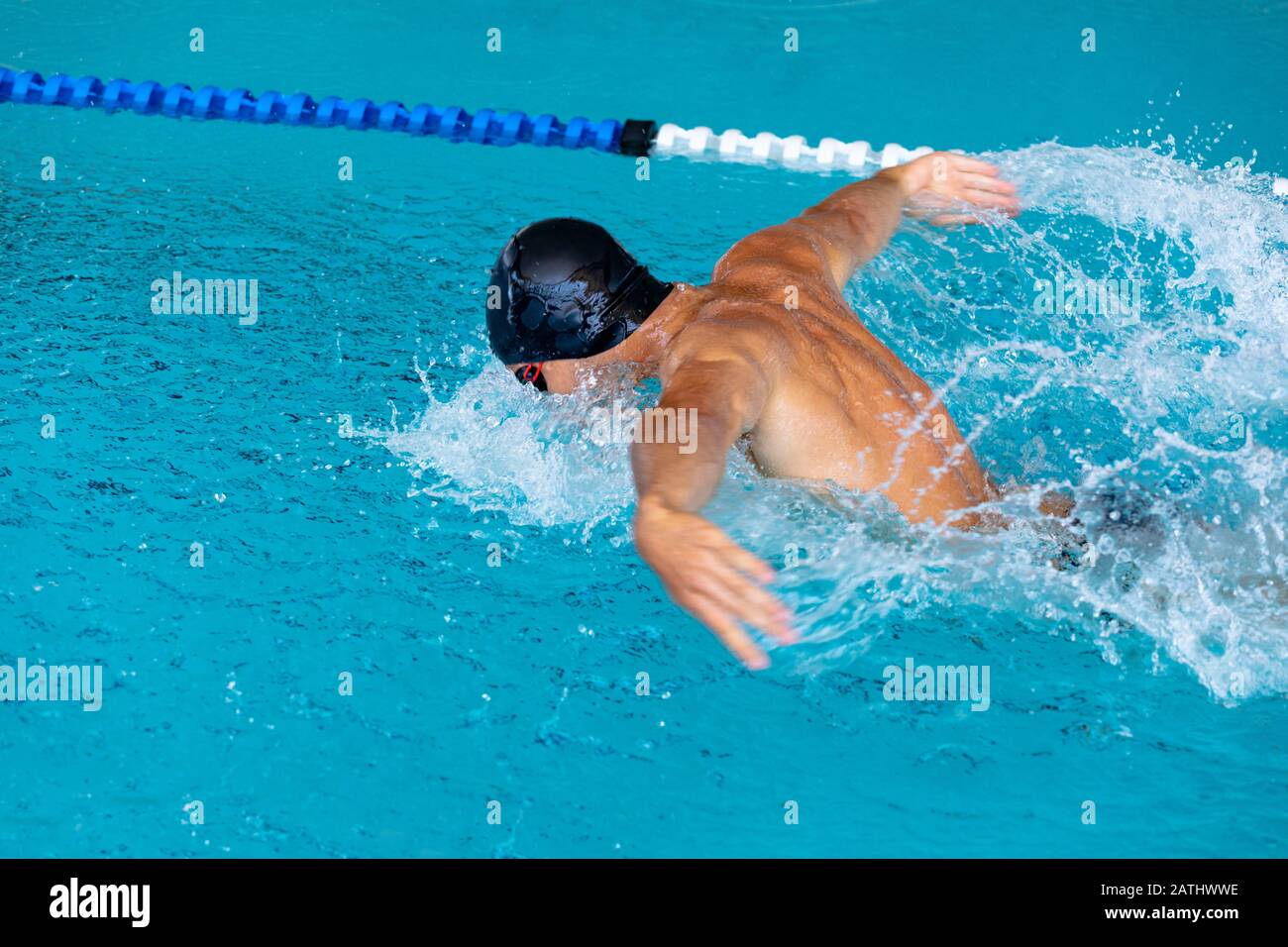 Swimmer swimming in the pool Stock Photo - Alamy