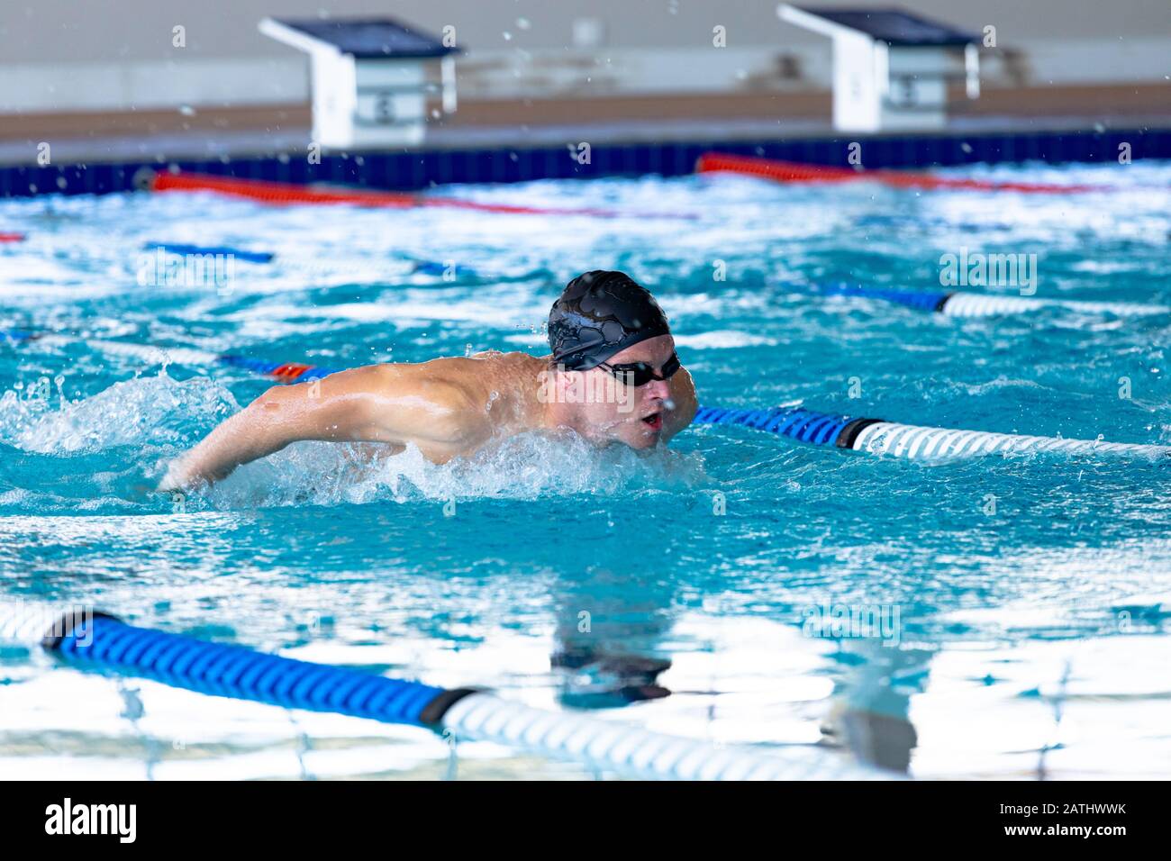 Swimmer swimming in the pool Stock Photo - Alamy