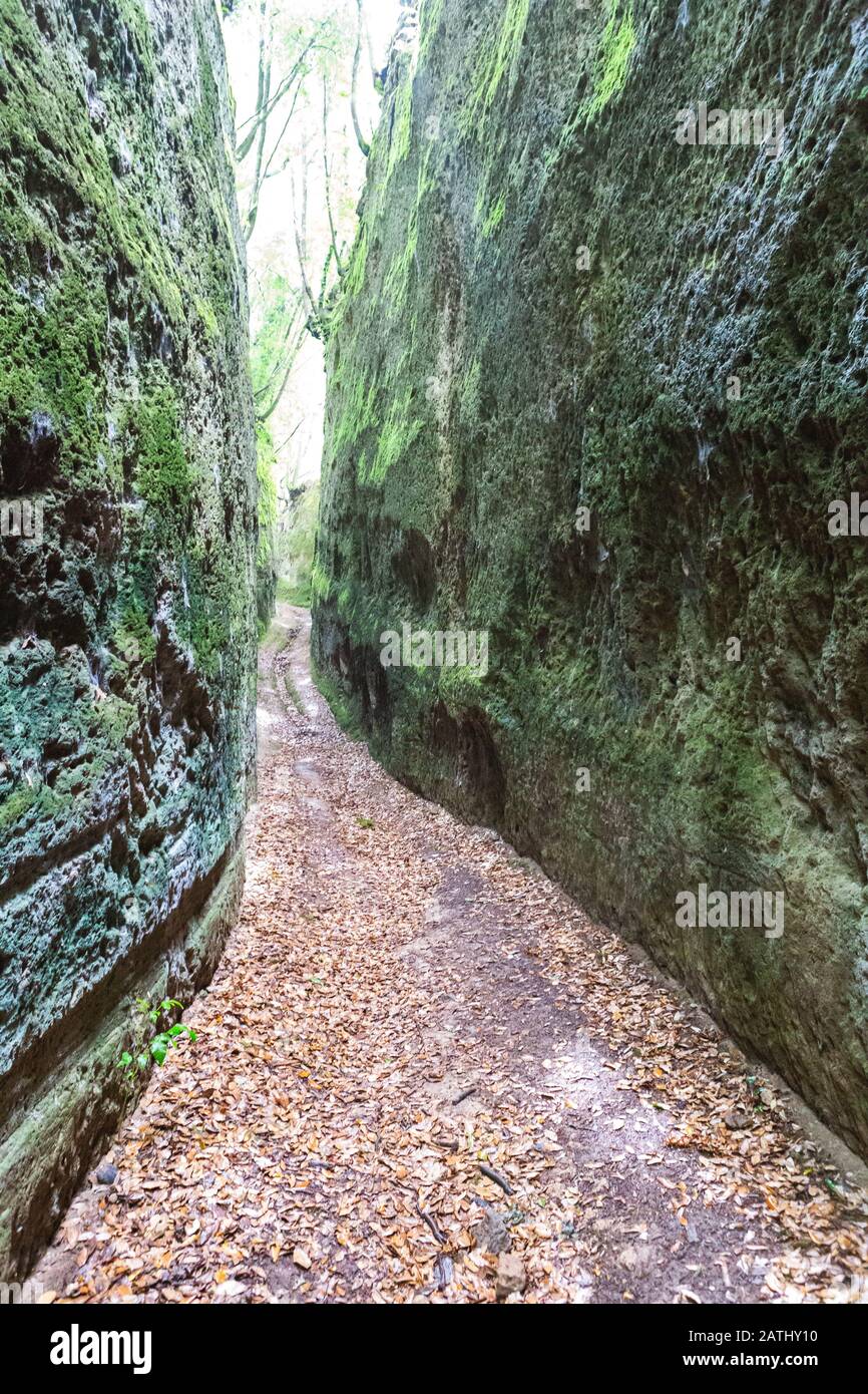 The narrow path excavated in the rock by etruscan civilization named ...