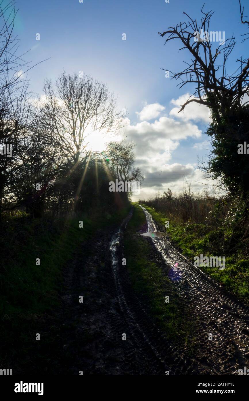 Claxton norfolk hi-res stock photography and images - Alamy