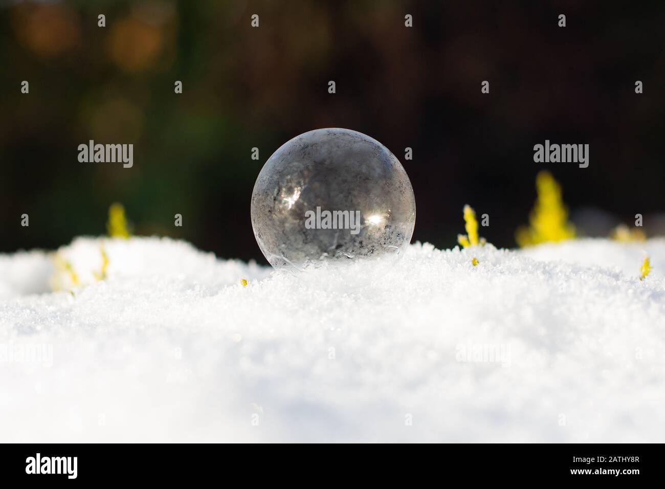 Frozen bubble hi-res stock photography and images - Alamy