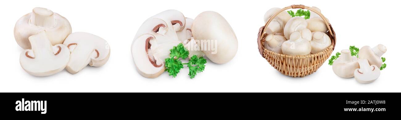 Fresh mushrooms champignon isolated on white background with clipping ...