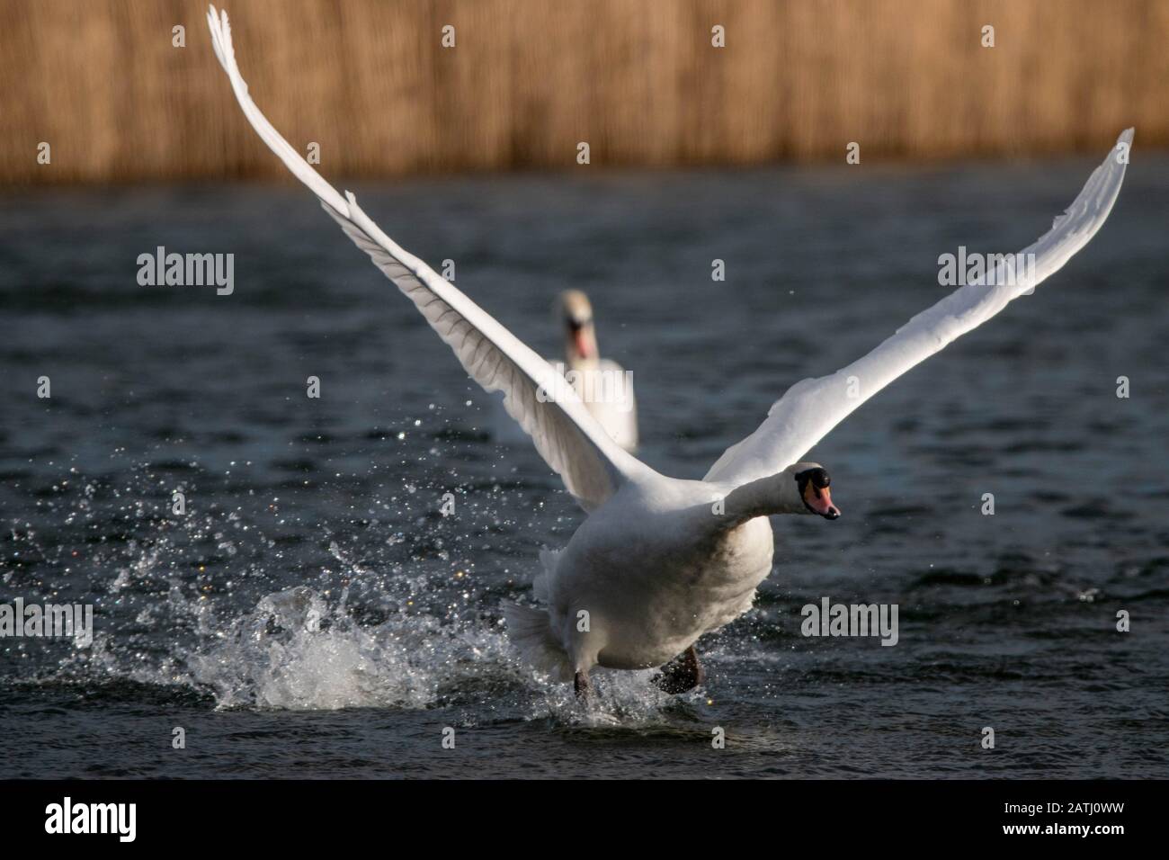 Kemerton hi-res stock photography and images - Alamy