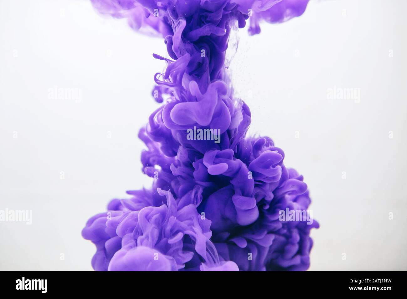 Purple color ink in water on a white background Stock Photo - Alamy