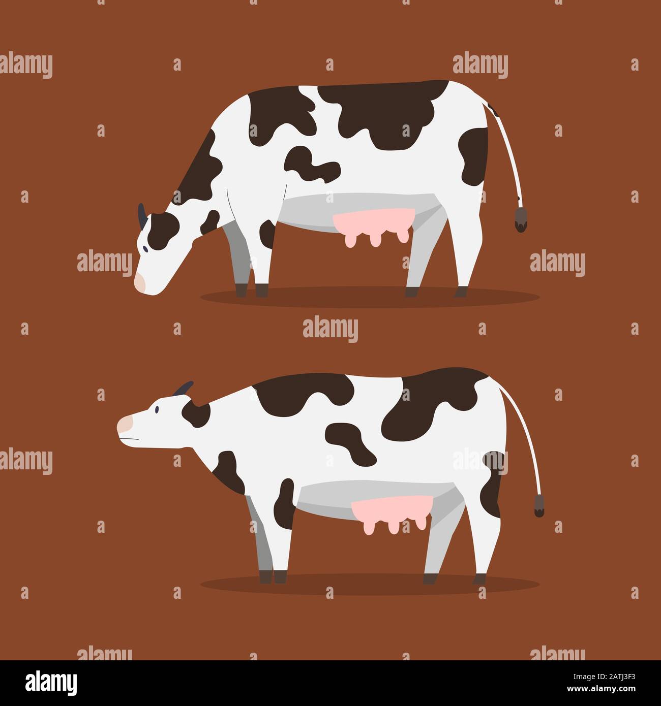 Flat cow vector illustration.Set cute cow with brown background Stock ...