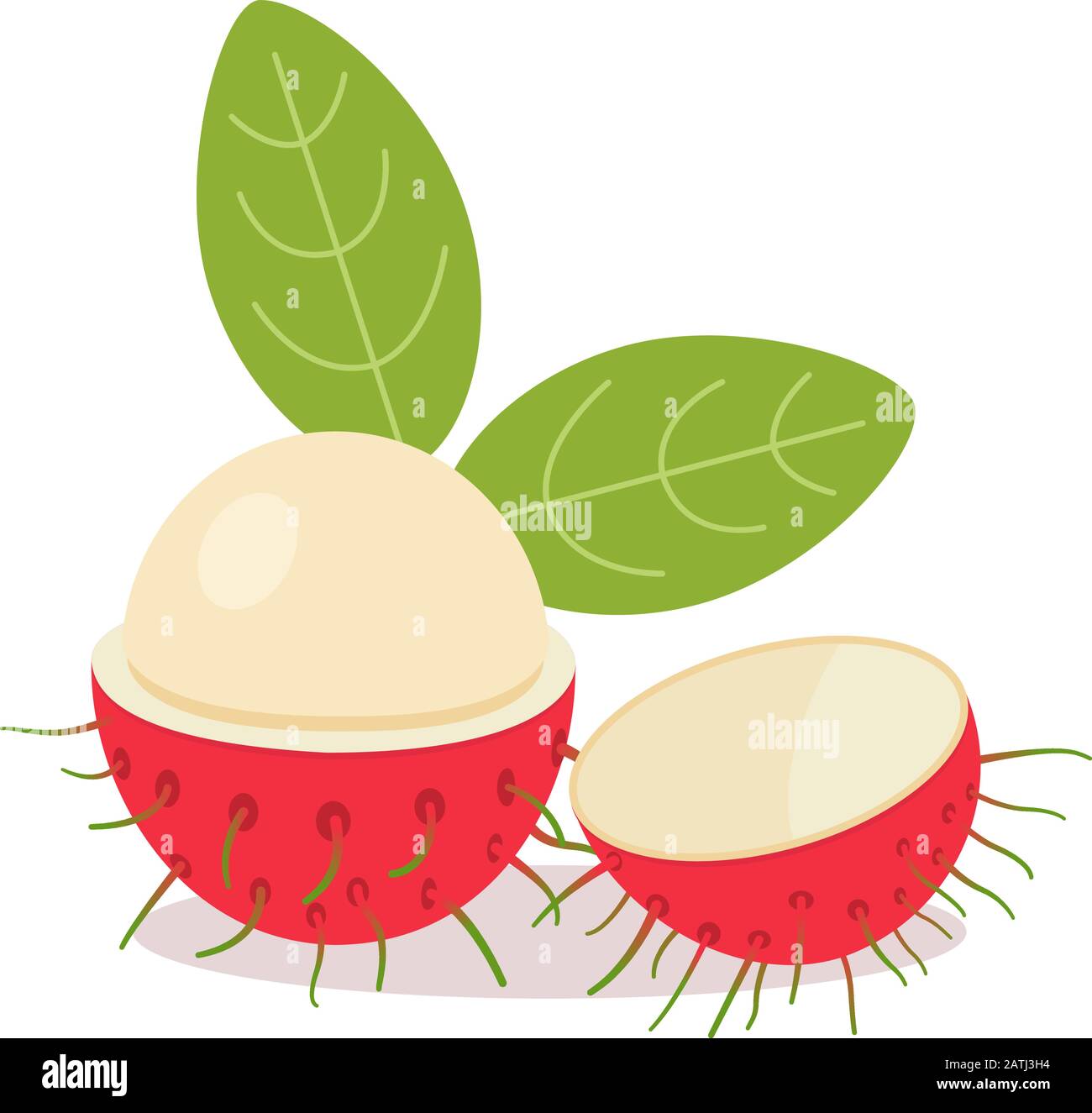 Clipart Rambutan