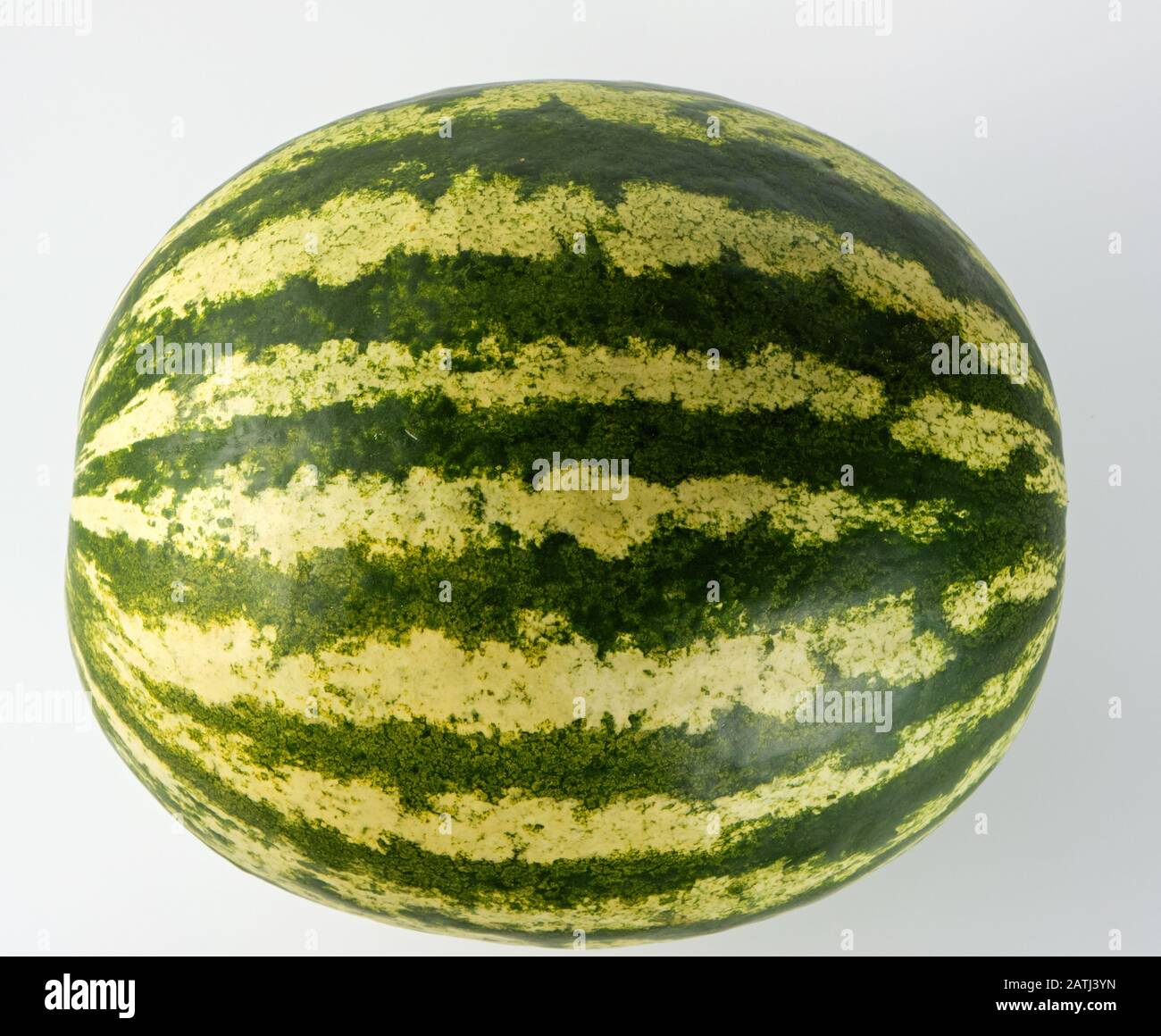 big green striped whole watermelon on a white background, summer berry ...