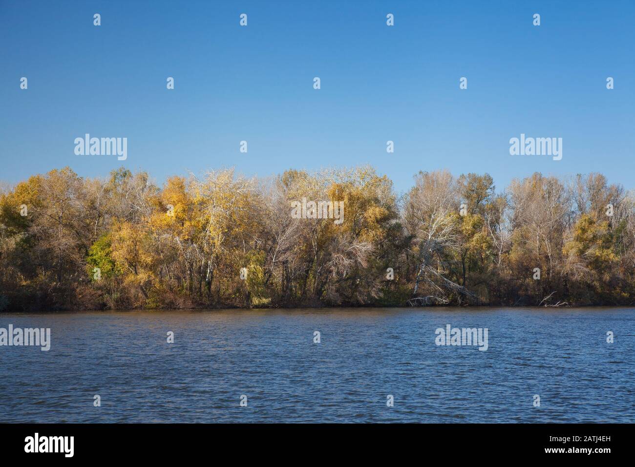 Autumn landscape, forest on the river in autumn Stock Photo - Alamy