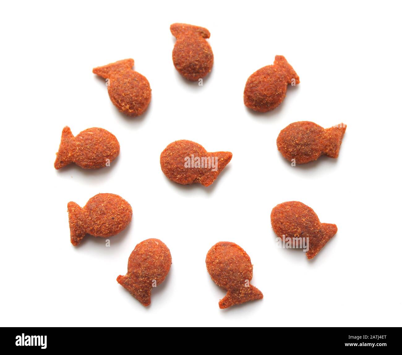 Cat circle isolated Cut Out Stock Images & Pictures - Alamy