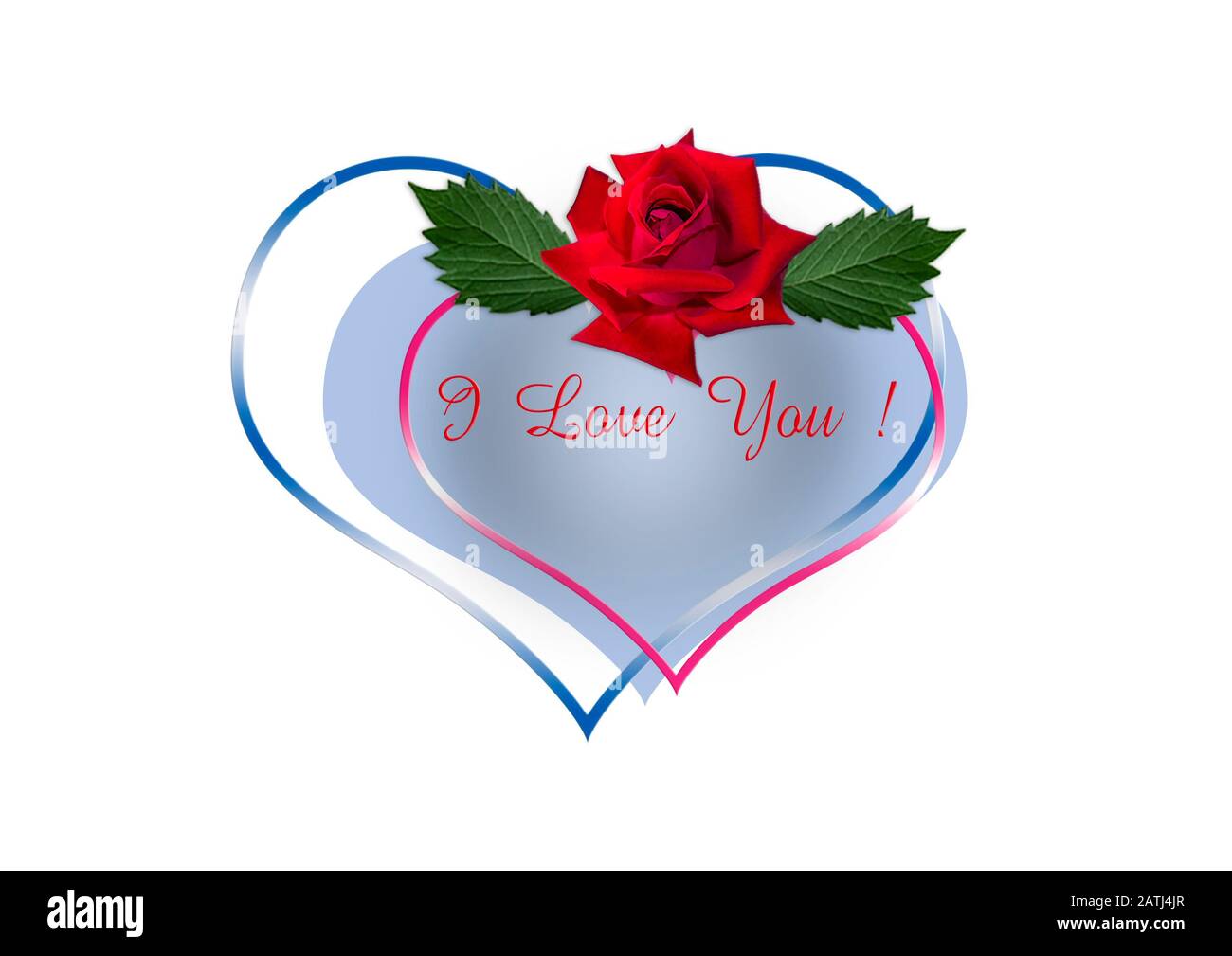 Red Rose I Love You Wallpaper