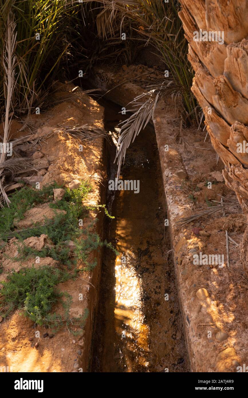 Sahara desert irrigation system hi-res stock photography and images - Alamy