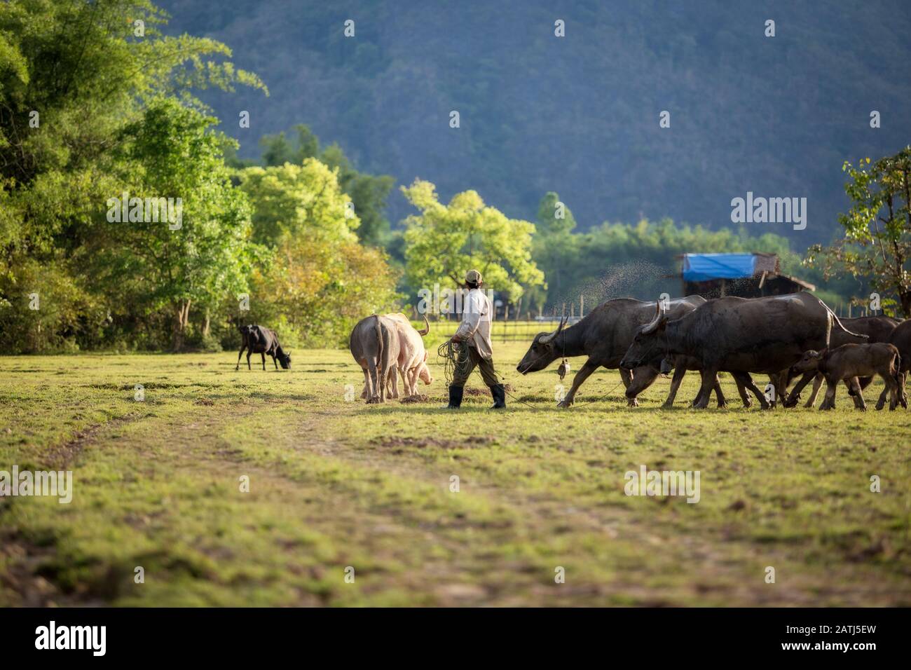 Rural life in laos hi-res stock photography and images - Alamy