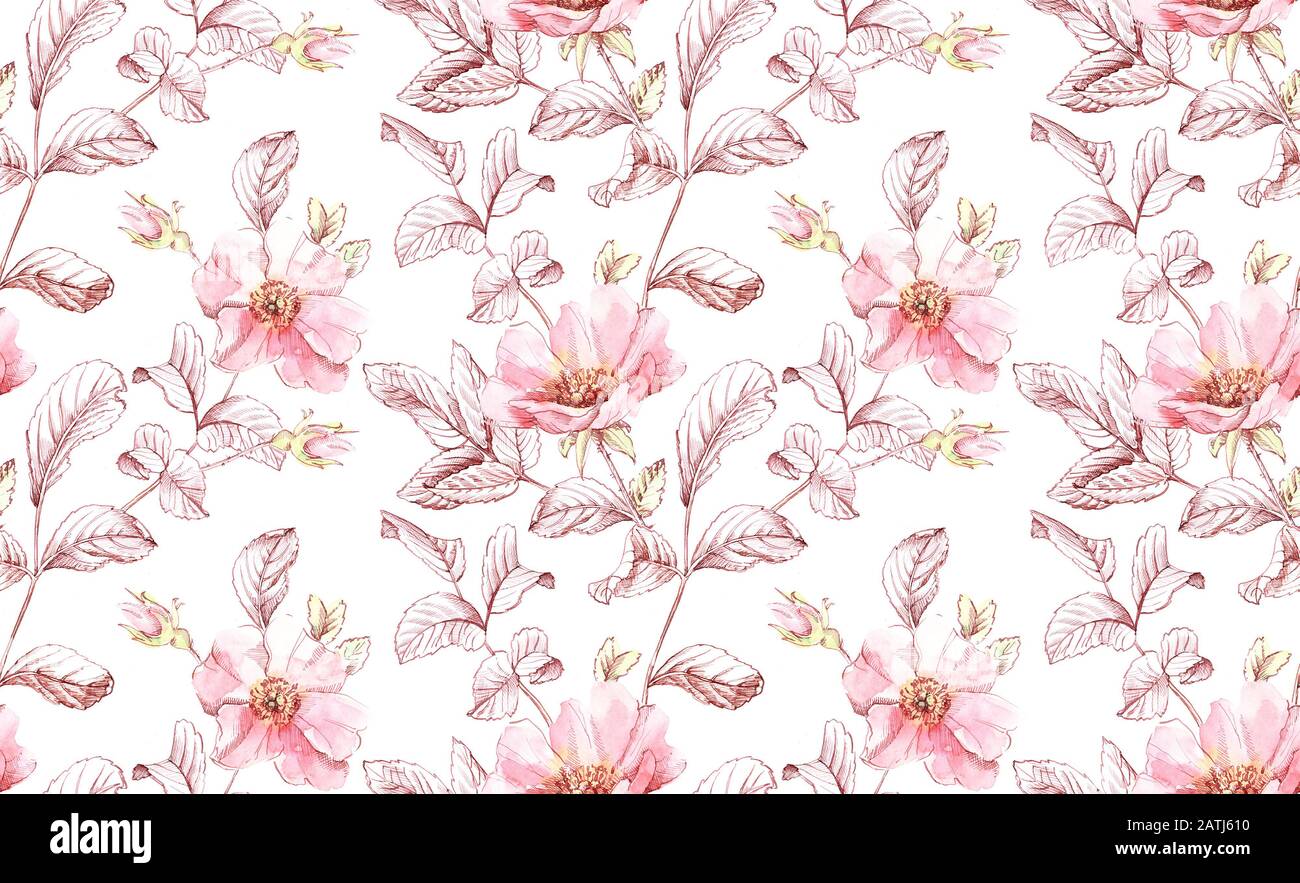 Drawn Roses Wallpaper