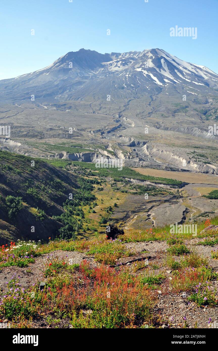 Dormant Mt St Helens Stock Photo - Alamy