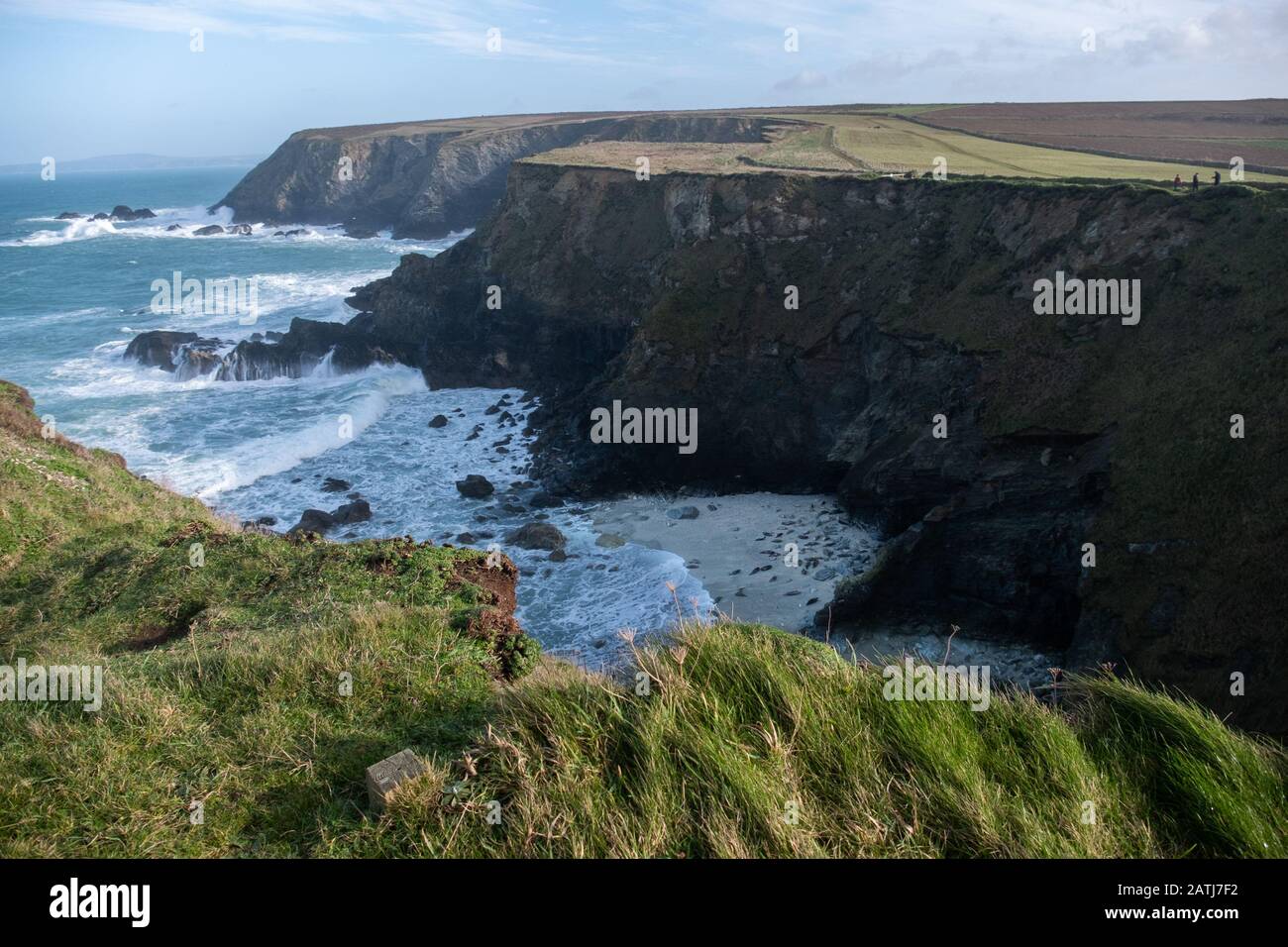 Views from the clifftop over the crashing waves and rocks of Mutton ...