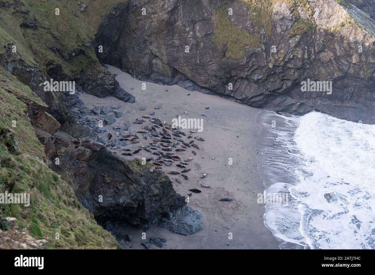 Views from the clifftop over the crashing waves and rocks of Mutton ...