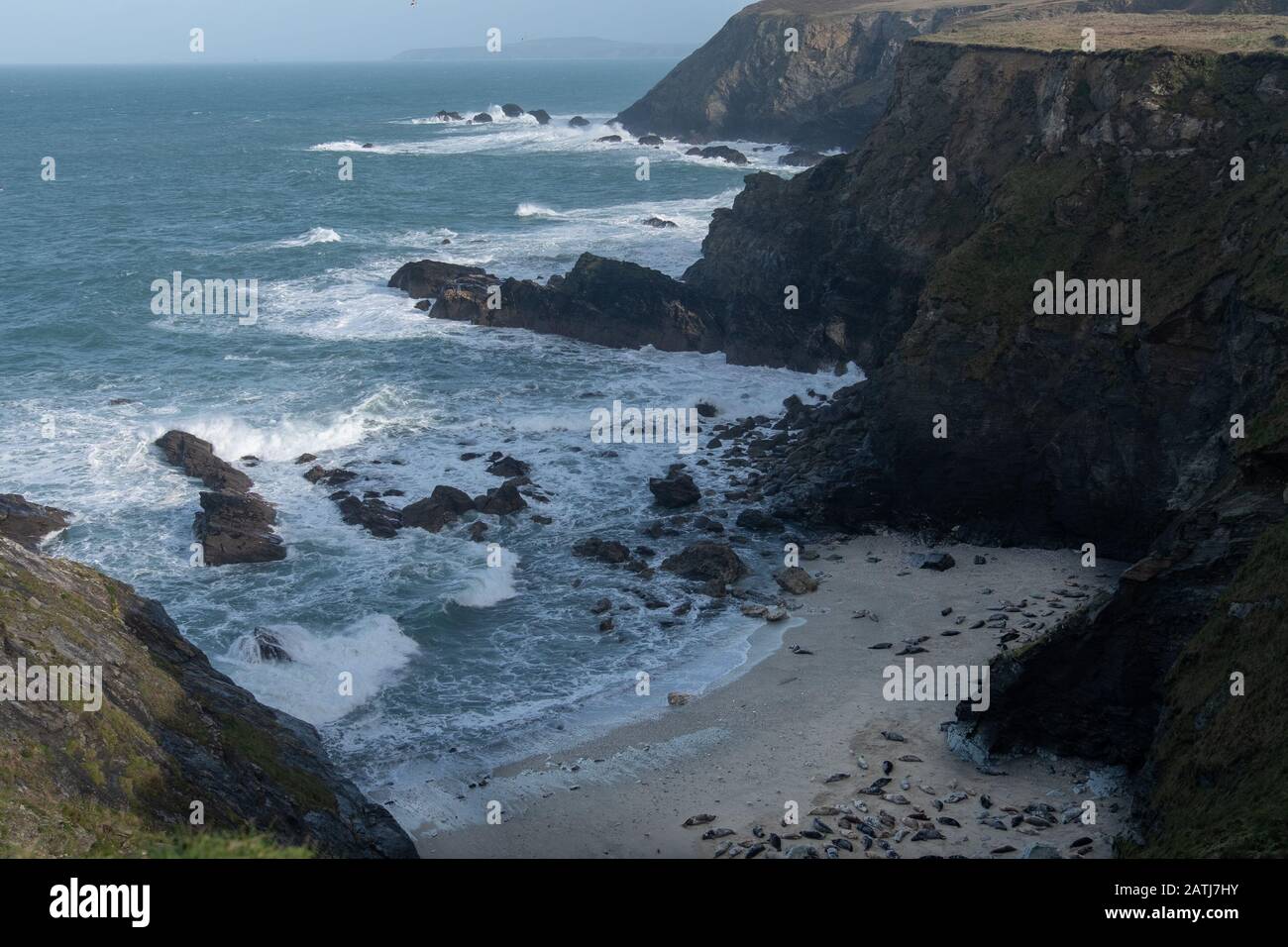 Mutton cove beach hi-res stock photography and images - Alamy