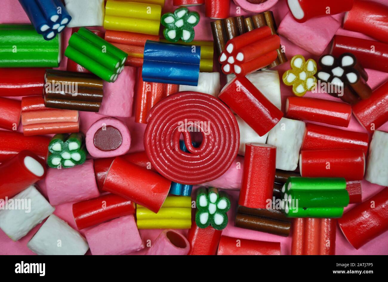 Chew to pieces hi-res stock photography and images - Alamy