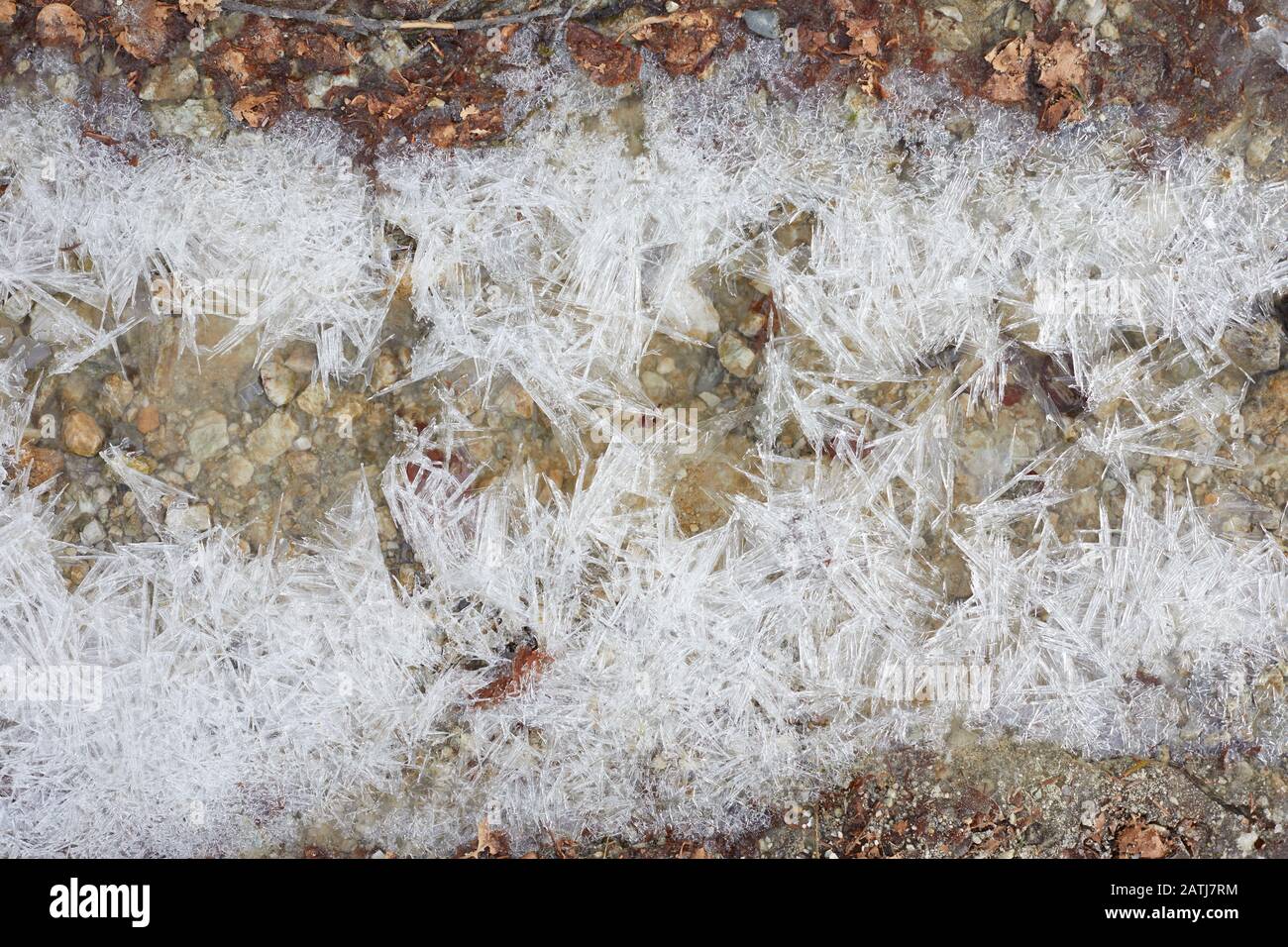 Iced stream with cracked surface and dried leaves texture background ...