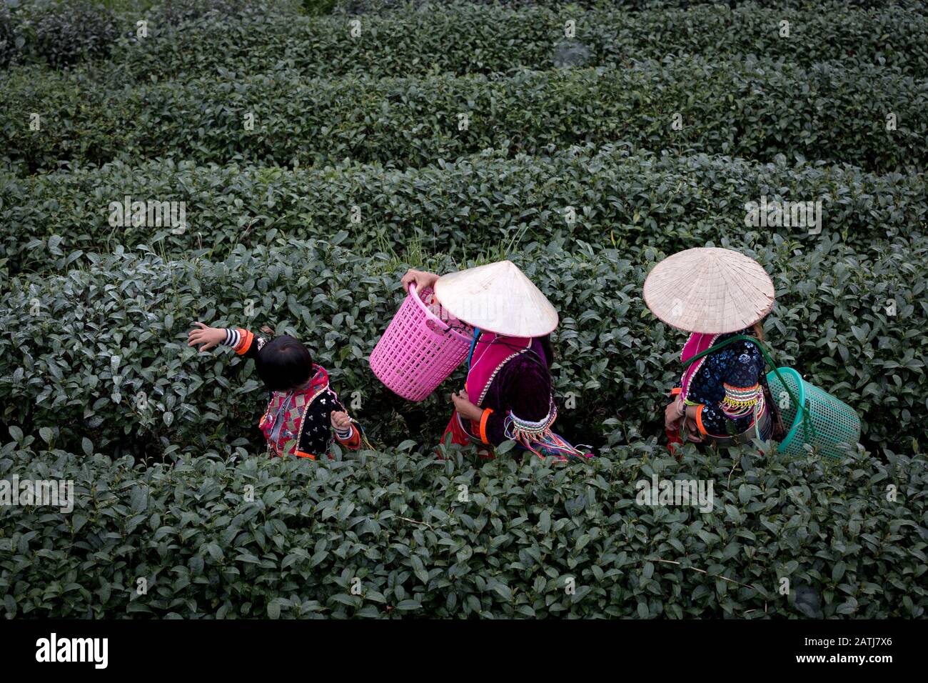 Hmong family hi-res stock photography and images - Alamy