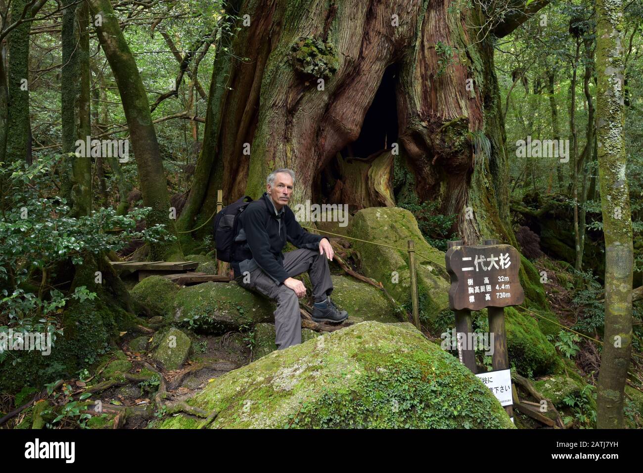 Nature, National Park. Yakushima Island, Japan Stock Photo - Alamy