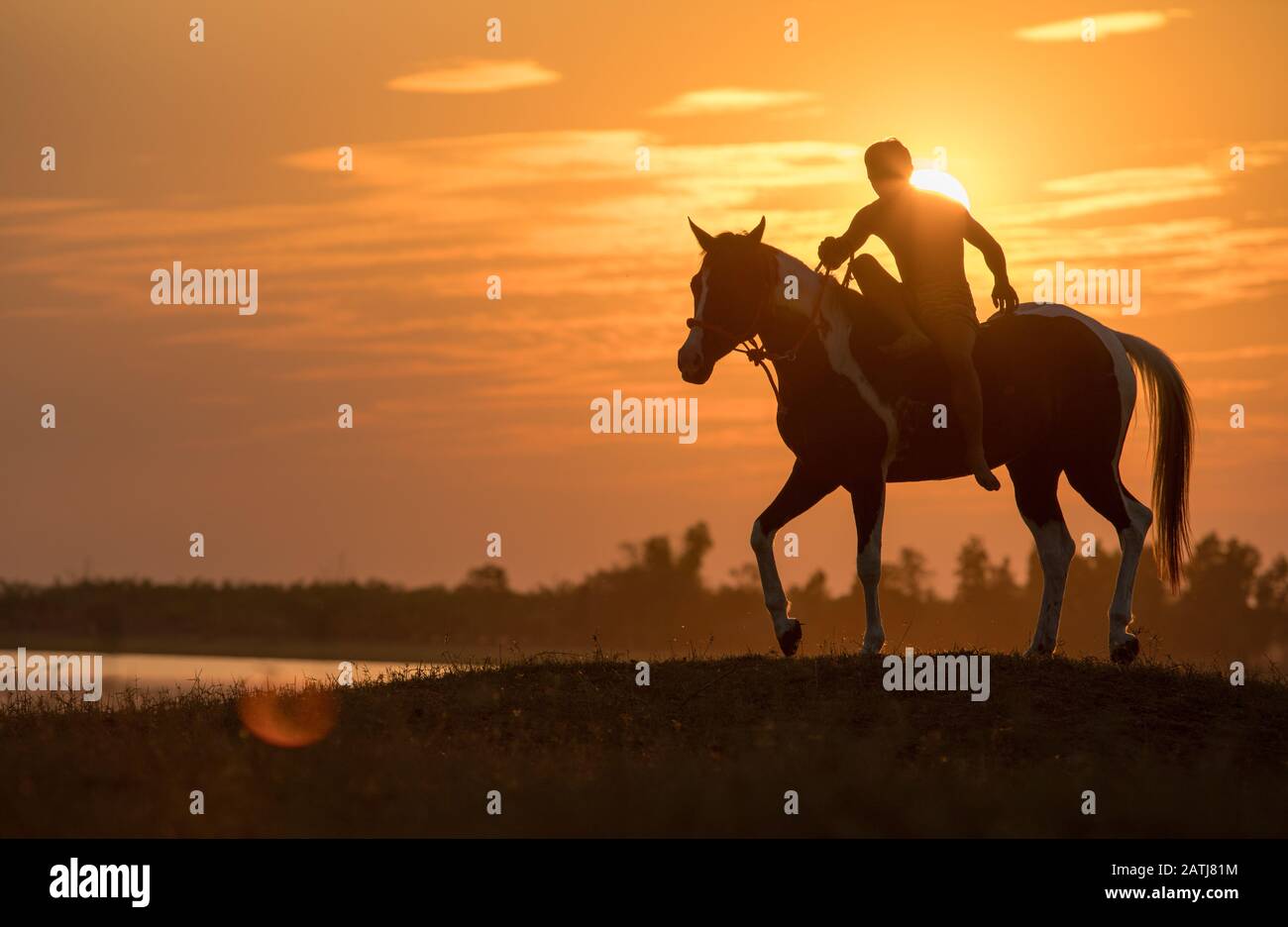 Riding horse sunset time enjoying with nature Stock Photo - Alamy