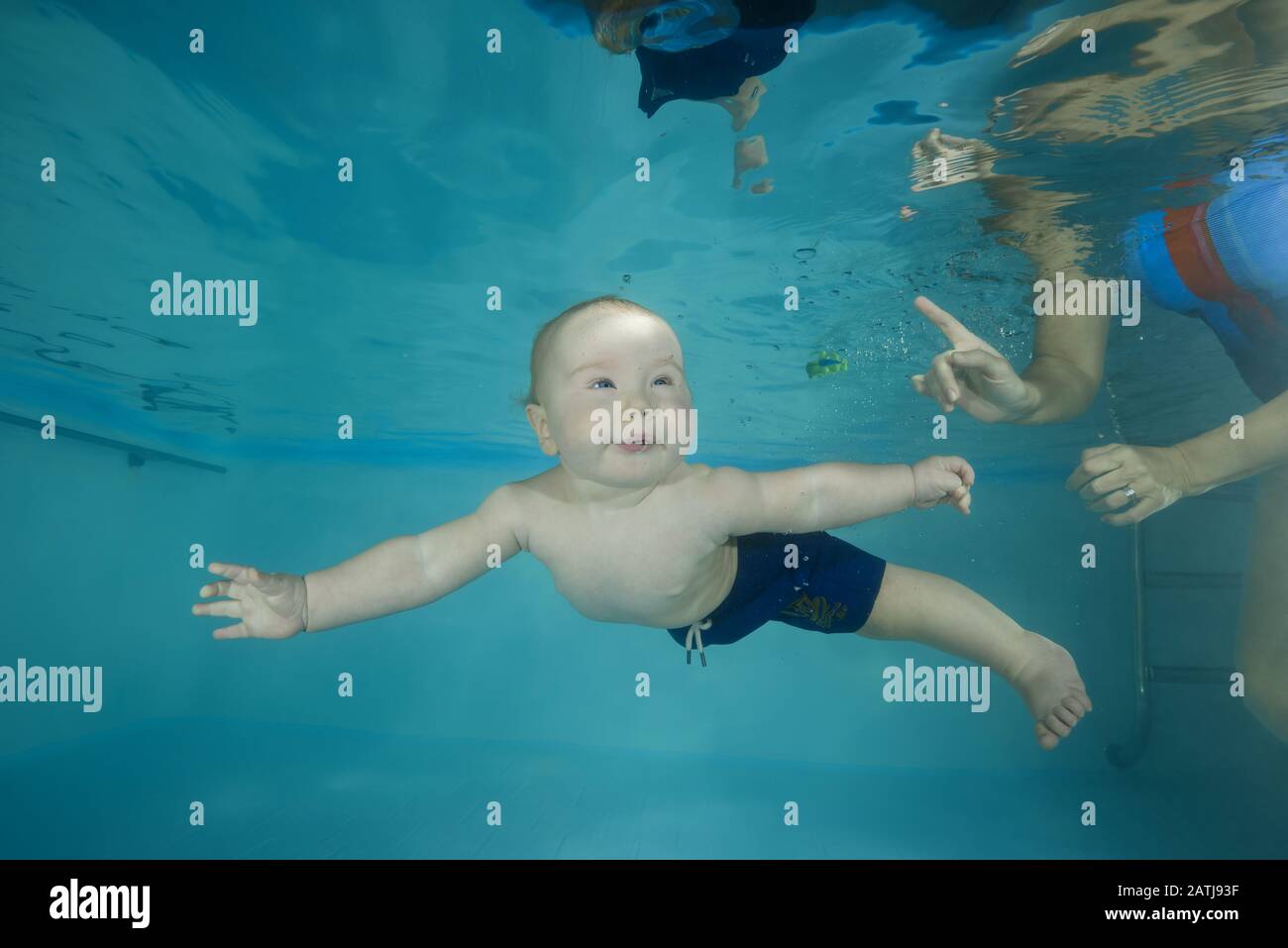 Dive dive dive dive scene hi-res stock photography and images - Alamy