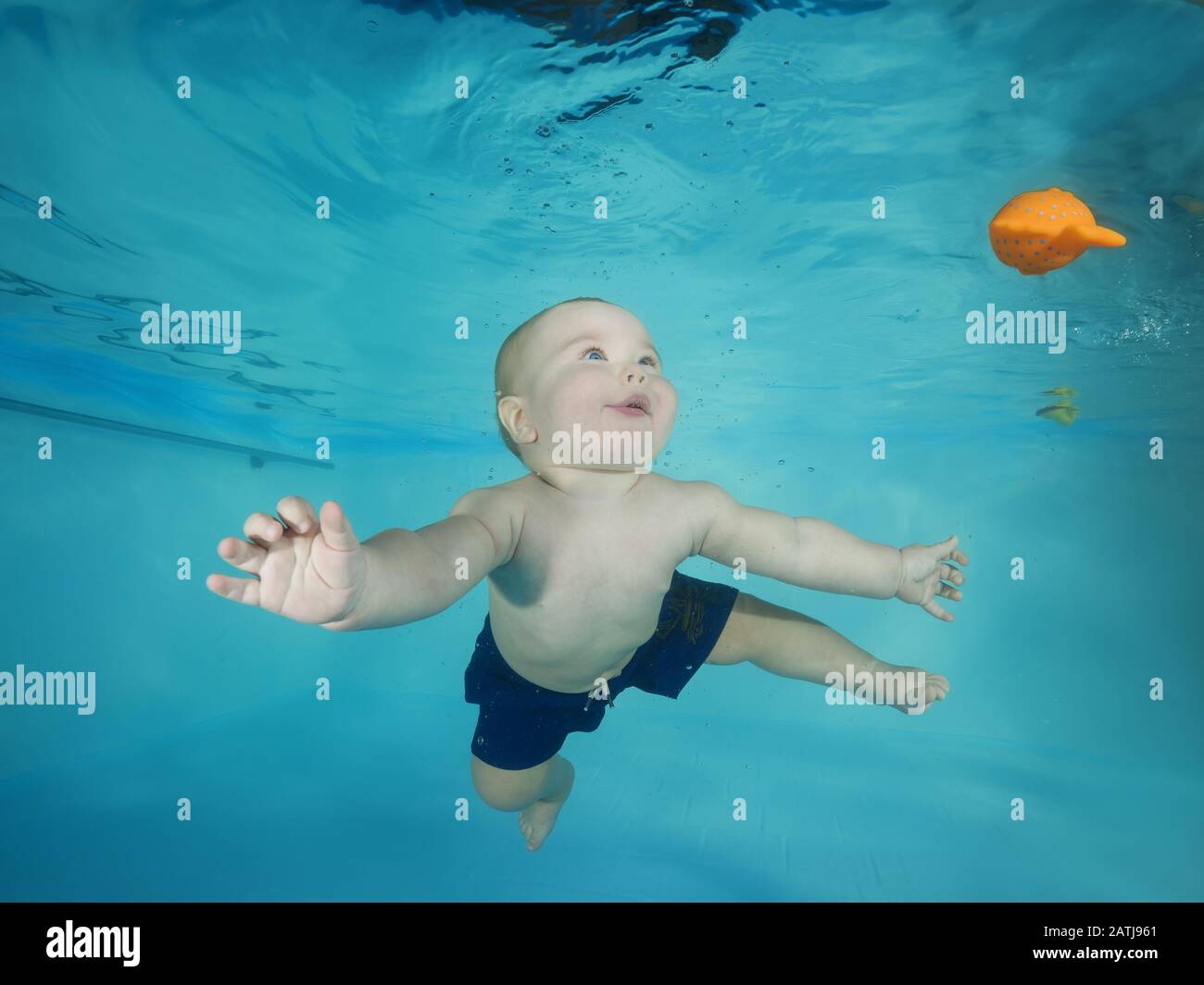 Dive dive dive dive scene hi-res stock photography and images - Alamy