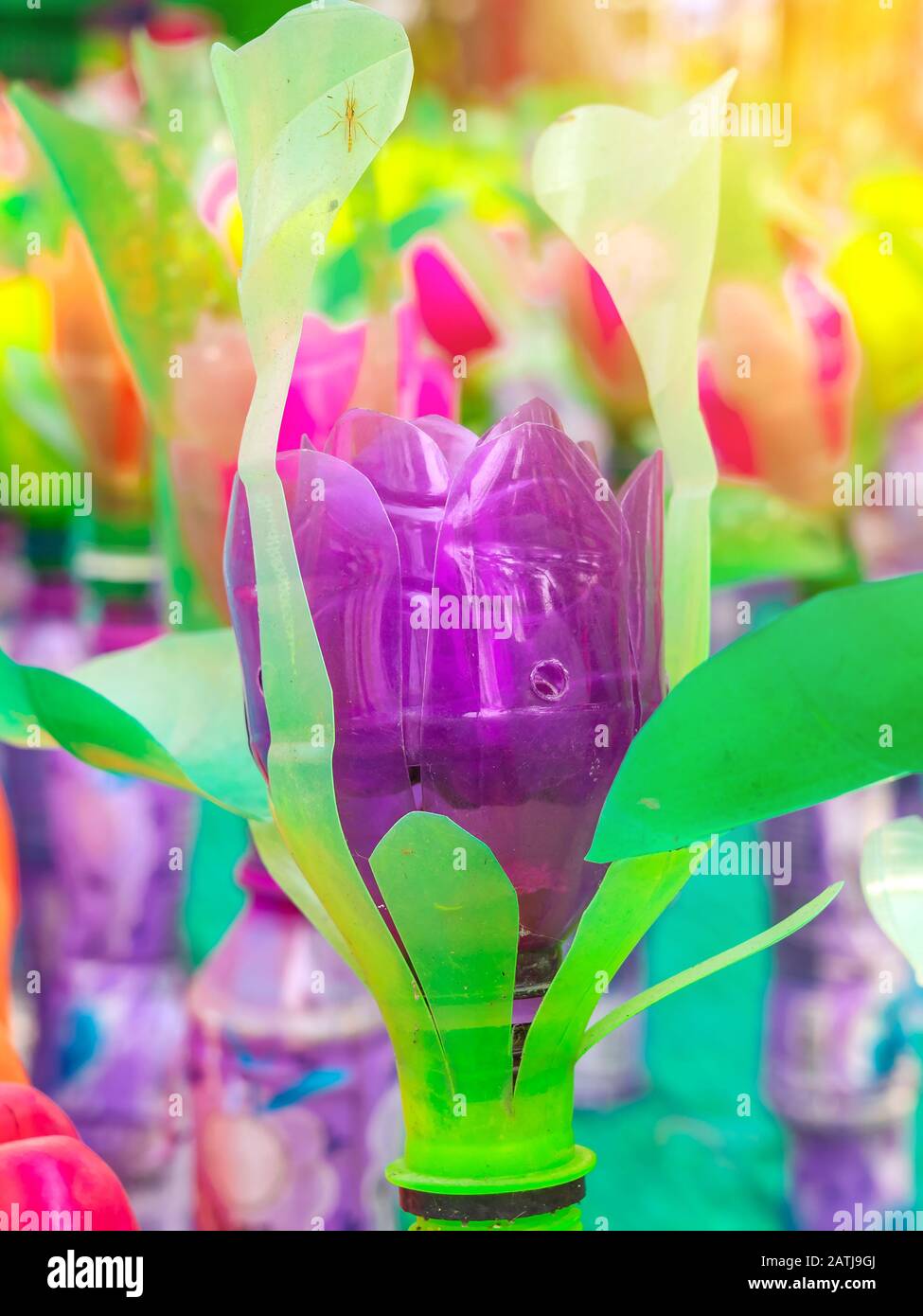 Recycled colorful plastic flowers made from plastic bottles to decorate ...
