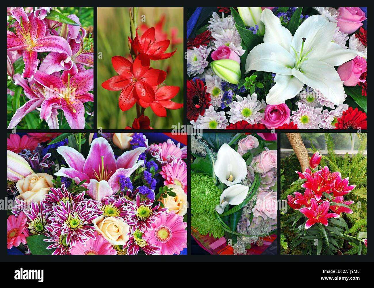 Flowers collage hi-res stock photography and images - Alamy